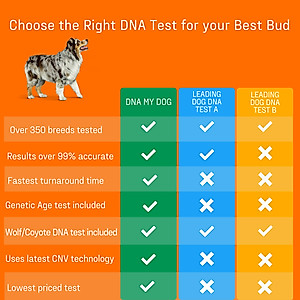 Dna My Dog Premium Test – Premium Breed ID Over 300 Breeds Plus Genetic Age Test, Wolf/Coyote DNA and Mixed Breed Identification, Non-Invasive Cheek Swab for Puppies to Adult Dogs