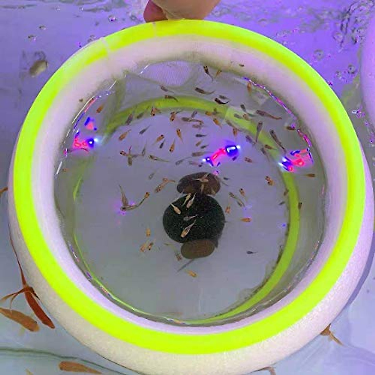 2 Units Aquarium Fish Hatchery Isolation net, Aquarium Fish Breeder Tank Isolation Hatching Net Box, a Large Aperture net and a Small Aperture net Together