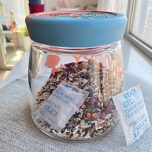 Food Grade Silica Gel Desiccant Packets, 2 Gram 250Pcs Desiccant Packs for Moisture Control, Rechargeable Silica Gel Packets Moisture Absorbers for Storage