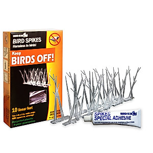 Bird-X, SP-10-NR Plastic Polycarbonate Bird Spikes Kit with Adhesive Glue, Covers 10 feet
