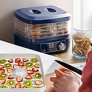 5 Pieces Non-stick Fruit Dehydrator Mats,Reusable Dhydrator Screens ,Dehydrator Sheets Fruit Dryer Mesh for Hamilton Beach 32100A (12.2"x9.45")