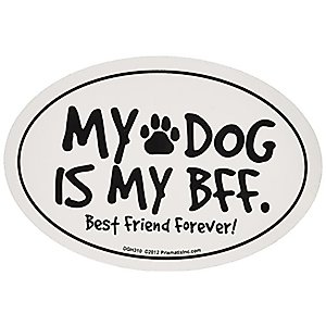 Prismatix Decal Cat and Dog Magnets, My Dog is My BFF
