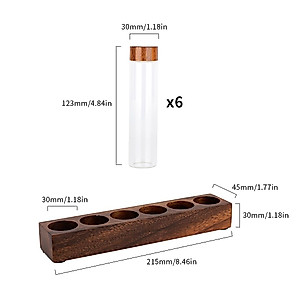 watchget 6-Piece Single Dose Coffee Bean Storage Kit with Walnut Wood Base, Glass Vials & Funnel - Airtight Dosing Canisters for Barista Home Brewing, 6 Tubes