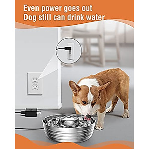 oneisall Cat Water Fountain,3.6L /123OZ Automatic Stainless Steel Pet Water Fountain for Dog Cat,Dog Water Bowl Dispenser with Ultra-Quiet Pump for Multiple Pets