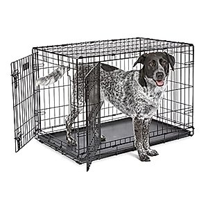 MidWest Homes for Pets Newly Enhanced Double Door iCrate Dog Crate, Includes Leak-Proof Pan, Floor Protecting Feet, Divider Panel & New Patented Features