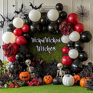 Red Black Balloons Double Stuffed Balloons Different Sizes Latex Ruby Red Balloon Garland Matte Premium Black Balloon Arch Kit for Birthday Wedding Baby Shower valentines Day Christmas Party decoratio