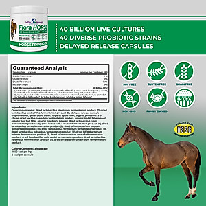 Vital Planet - Flora Horse Probiotic, High Potency Equine Probiotics with Prebiotics, 40 Billion Live CFU from Multiple Strains, Digestive and Immune Support, 180 Delayed Release Capsules (180 Days)
