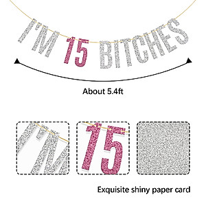 Glitter I'm 15 Bitches Banner Happy 15th Birthday Banner Happy 15th Anniversary Girl’s 15th Birthday Party Decorations Silver & Pink
