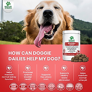 Doggie Dailies Bundle - Probiotics & Bladder Support Soft Chews