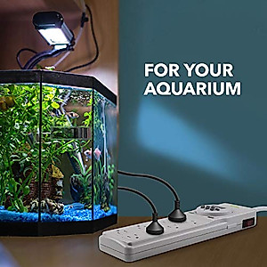 BN-LINK 8 Outlet Surge Protector with 7-Day Digital Timer (4 Outlets Timed, 4 Outlets Always On) - White