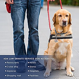 Leash King 1.25" Double-Sided Service Dog Tag with 1.3" Solid Quick Clip– Easily Attach to Collar, Harness, Vest – Entirely Surgical Stainless Steel – PVD Rose Gold