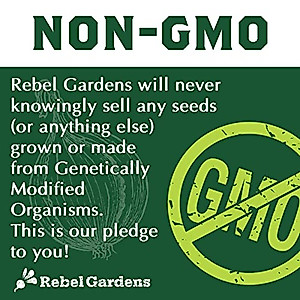 Organic Garden Greens Vegetable Seeds - 8 Varieties of Heirloom, Non-GMO Salad Green Seeds - Lettuce, Arugula, Swiss Chard, Kale, and Spinach