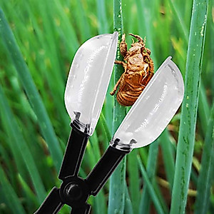 HHNIULI 3 Pieces Reptile Feeding Clamp,Reptile Feeding and Cleaning Tool Reptile Poop Scoop for Tortoise Lizard Frog Spider