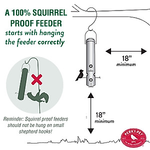 Perky-Pet 481F Finch Feeder With Flexports – 1.5 lb Capacity