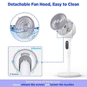 Primevolve 10.6 inch Oscillating Fan for Bedroom, Air Circulator Fan with 6 Speeds Powerful Airflow, Height Adjustable for Cooling Room, Office, Kitchen, White