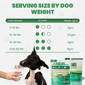 K9 Collagen PEPTIDE Complex W/BIOTIN - Hip & Joint Supplement for Dogs- Supports Healthy Joints, Skin & Coat – Helps in Recovery & Repair– 3+ Months Supply - Over 114 Servings!