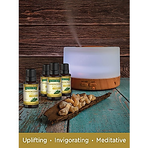 Nature's Truth Frankincense Aromatherapy Essential Oil, 0.51 Fl Oz