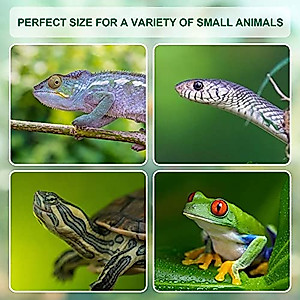 BETAZOOER Reptile Terrarium Breeding Tank Acrylic Reptile Feeding Box with Temperature Hygrometer (15.3"x9.7"x7.6")