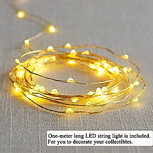 Acrylic Display Case