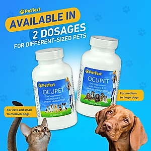 Ocupet Advanced Vision and Eye Health Supplement for Medium to Large Dogs Packed with Natural B12, Grape Seed Extract and Lutein to Support Pets with Diabetes or Eye Related Conditions-90 Capsules