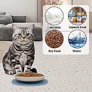 BNOSDM 3 Pcs Ceramic Cat Bowl Shallow Kitten Dishes with Anti-Slip Mat Whisker Fatigue Free Pet Plates for Indoor Small Cat Puppy