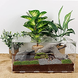winemana Reptile Terrarium, Tarantula Enclosure, 16" x 11" x 6" Acrylic Large Feeding Tarantula Habitat Box for Small Animals Insect Home Office