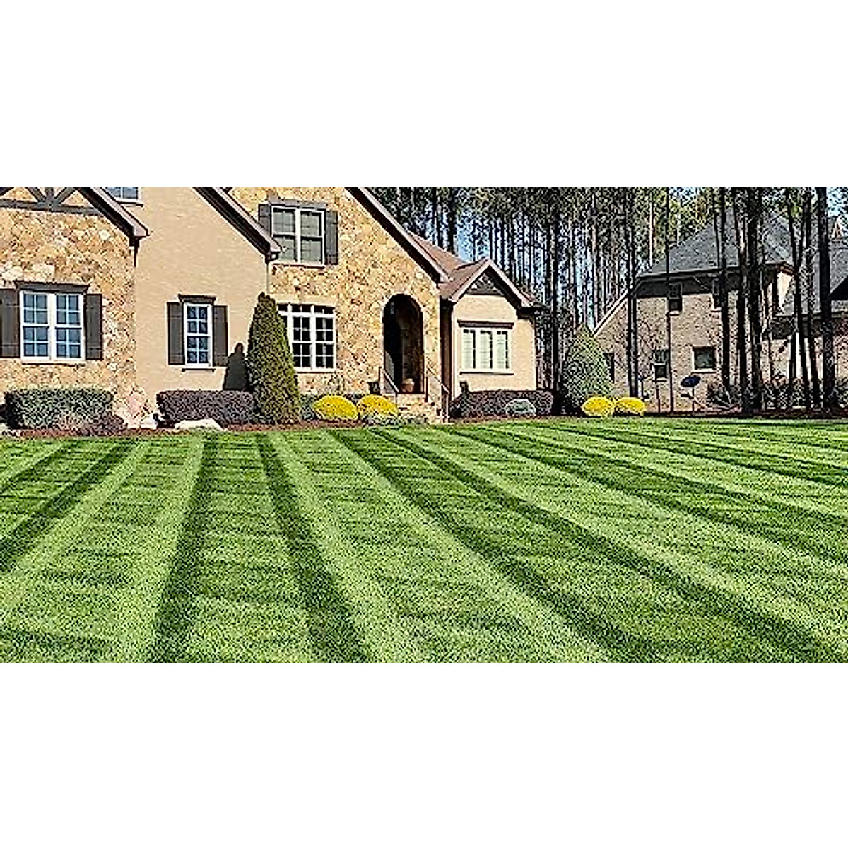 10-0-20 Emerald Lawn Fertilizer - 45% XCU Slow-Release, 10% Iron and GreenTRX Bios (1 Bag Covers up to 5,000 sq. ft.)