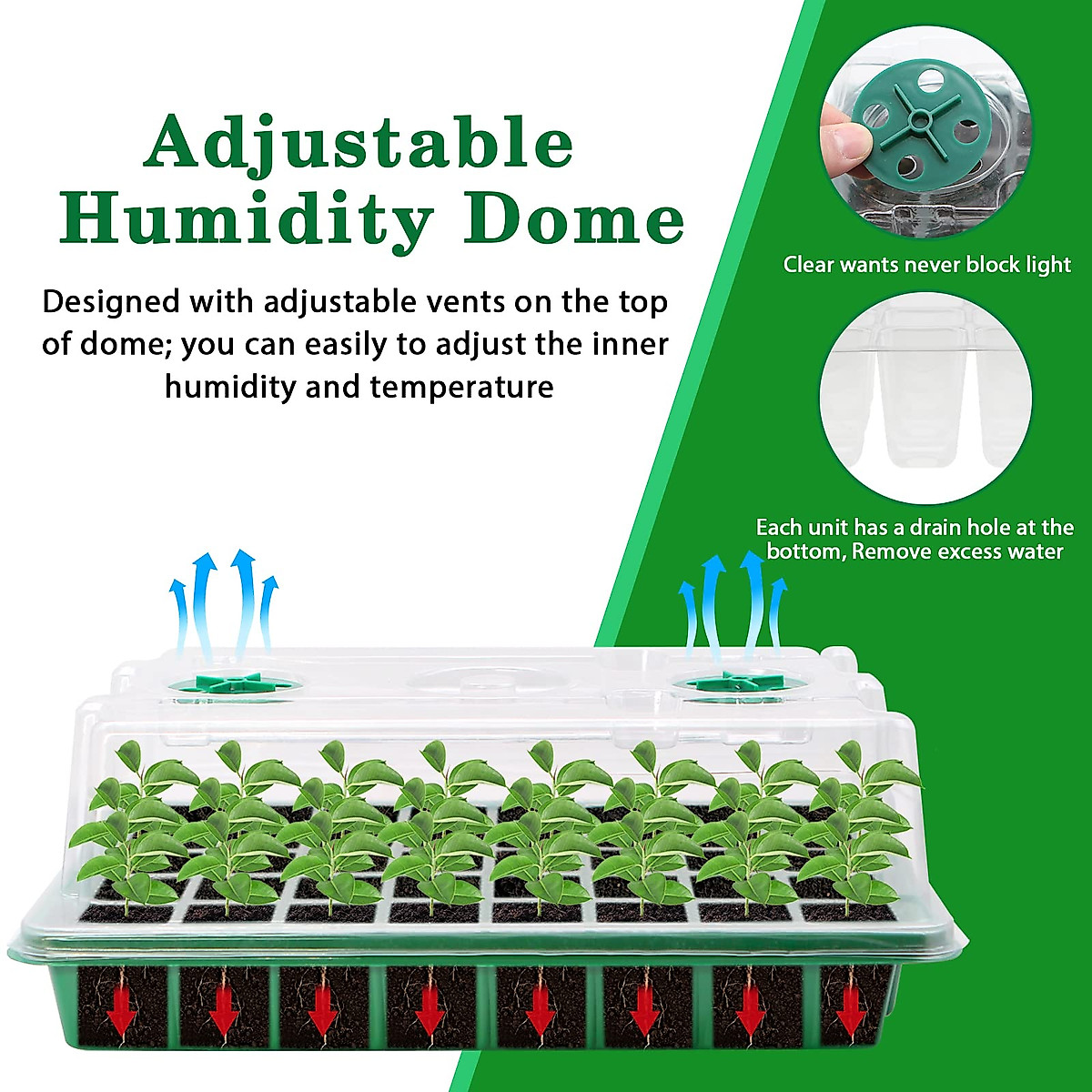 MQFORU 2 Pack Seed Starter Trays with Grow Light, 80 Cell Seed Starter Kit with Timer, Adjustable Domes, Plant Starter Trays Kit for Propagation, Cloning Plants, Seed Germination