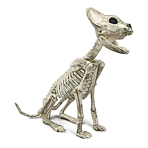 MAKEATREE Halloween Decoration Mini Skeleton Cat Kitten, Plastic Crouching Sitting Cat Bones for Pose Skeleton Prop Indoor Spooky Scene Haunted House Party Favors Décor