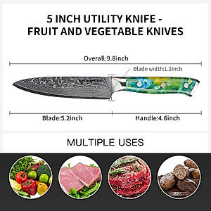 SANMUZUO 5 Inch Kitchen Utility Knife - Xuan Series Kitchen Knives - VG10 Damascus Steel with Resin Handle (Jade Green)