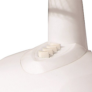 Brentwood Kool Zone F-12DW 3-Speed 12-Inch 32-Watt Oscillating Desk Fan