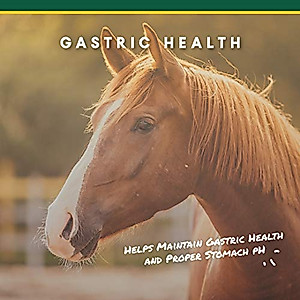 Corta-Flx U-Gard Pellets |All Natural Equine Digestive Supplement to Maintain Gastric Health | Helps Prevent Ulcer Formation | 10 LB