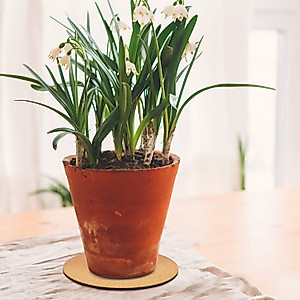 3 Pieces Cork Plant Mat Round Cork Plant Coasters DIY Cork Pad Plant Plate Pad for Gardening, Indoor and Outdoor Pots, DIY Craft Project (Nude and Black, 6 Inches, 8 Inches, 10 Inches)