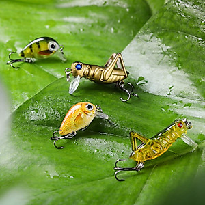 10 Pieces Mini Fishing Lures Fishing Hard Baits Hooks Crankbaits Fishing Lures Baits Topwater Lures for Freshwater Saltwater Trout Bass Perch Fishing Lures with Box (Locust and Fish Series)