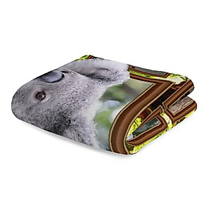 Cute Koalas Throw Blanket for Couch,Soft Warm Throw Blanket Lightweight Warm Fuzzy Blanket for Bed Sofa Camping Travel