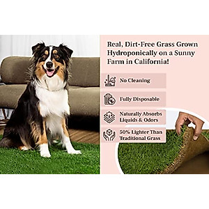 DoggieLawn Dog Potty - Real Grass - XLarge 24x48 inches