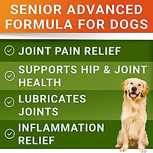 Senior Advanced Glucosamine Joint Supplement for Dogs - Hip & Joint Pain Relief - Small + Large Breeds -Omega-3 Fish Oil - Chondroitin, MSM- Mobility Soft Chews for Older Dogs - Bacon Flavor - 240Ct