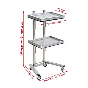Kaleurrier Rolling Tool Trolley Cart with Double Storage Tray,Stainless Steel Utility Instrument Tray Stand with Wheels for Beauty Hair Salon Tattoo Spa Clinic Medical Studio Home (Color:Silver)