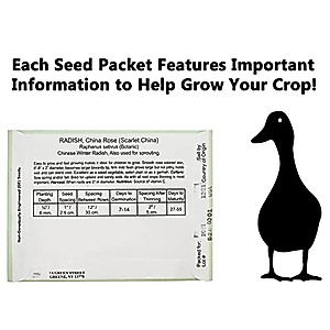 Set of 43 Assorted Vegetable & Herb Seed Packets - Over 10,000 Seeds! - Includes Mylar Storage Bag - Deluxe Garden Heirloom Seeds - 100% Non-GMO