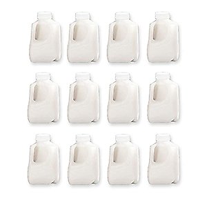 (12Pk) Mini Milk Jugs Plastic With Lid Quart Size Jugs Empty Milk Jugs, Use For Milk, Brews, Juice, Teas, Easy Grip Easy Pour Pitcher Elderly, Special Needs & Small Hands, Food Safe, Hdpe Squat 32 Oz