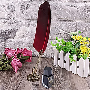 Feather Quill Pen Ink Set - Calligraphy Dip Pen Set Fountain Pen Ink Red Feather Pen Display Case with Inkwell and Stand - Quill Pen Set with 5 Stainless Steel Pen Nib Set for Writing Paper, Letter