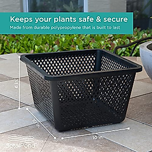 TotalPond Aquatic Plant Basket, 10-inch