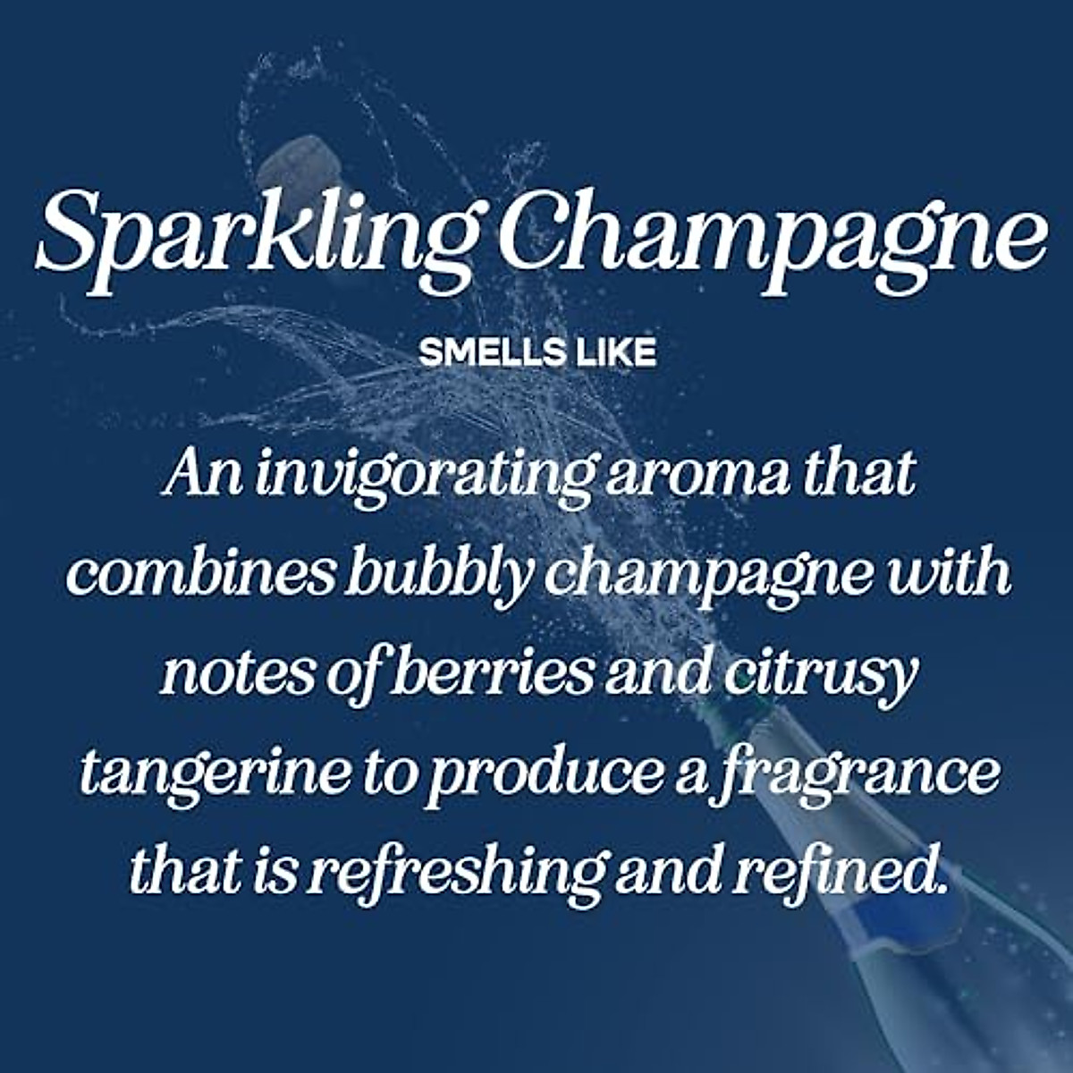 CE Craft - Smells Like a Dodgers Win Candle - Funny Birthday Gift for Him - Baseball Themed Gift - Gift for Dad, Boyfriend - Dodgers Gift (Sparkling Champagne)