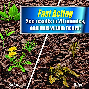 Pulverize PWG-B-128-S Grass Ready to Use Weed Killer, 128 Fl Oz (Pack of 1), Clear