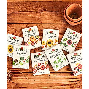 Burpee Culinary Classics Garden Collection 10 Packets of Non-GMO Chives, Cilantro, Basil, Sage, Thyme, Dill, Parsley, Chamomile, Marjoram & Oregano | Kitchen Herb Variety Pack, Seeds for Planting
