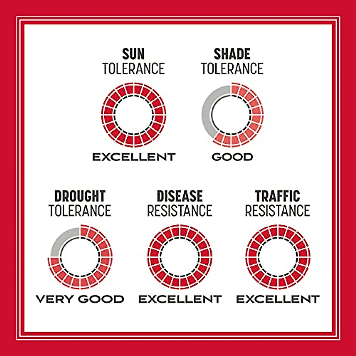 Pennington The Rebels Tall Fescue Grass Seed Blend, 3 Pounds