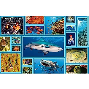 National Geographic Animal Encyclopedia: 2,500 Animals with Photos, Maps, and More!