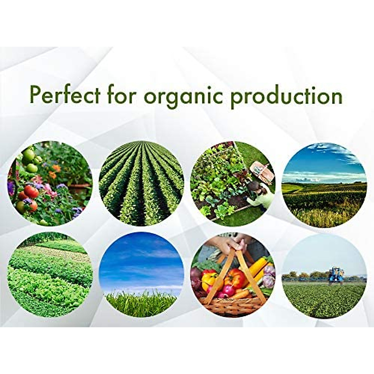 Energen Carolina LLC 578 Vinegar Weed & Grass Killer Approved for Organic Production Pet Safe Glyphosate Free Herbicide, Gallon 1, Yellow