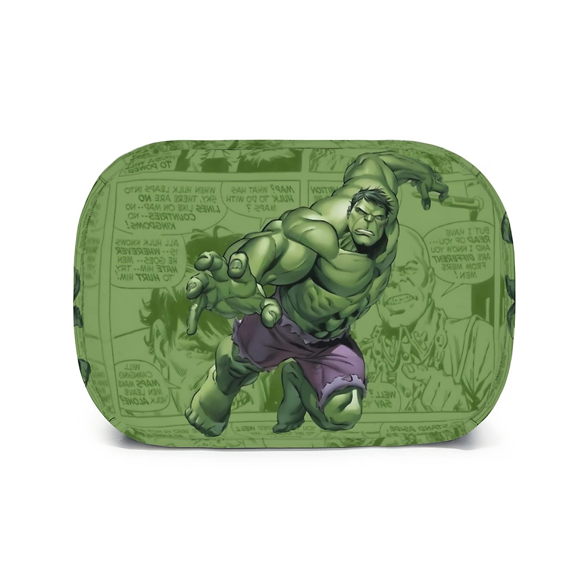 Grehge MNBVCX Green Insulated Lunch Bag Comics Lunch Box Portable Lunch Kit for Men Women Travel Picnic Beach