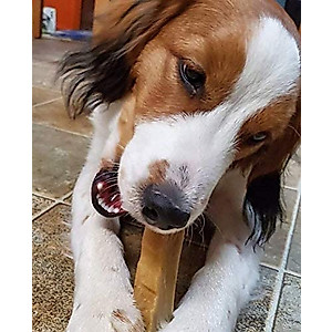 Yeti Dog Chew - Yak Cheese Himalayan Dog Chews - Healthy Long Lasting Dog Chews - Yak Chews for Large, Medium and Small Dogs - Yak Bones for Dogs - Natural Yak Cheese Dog Chews - Large, 7 oz